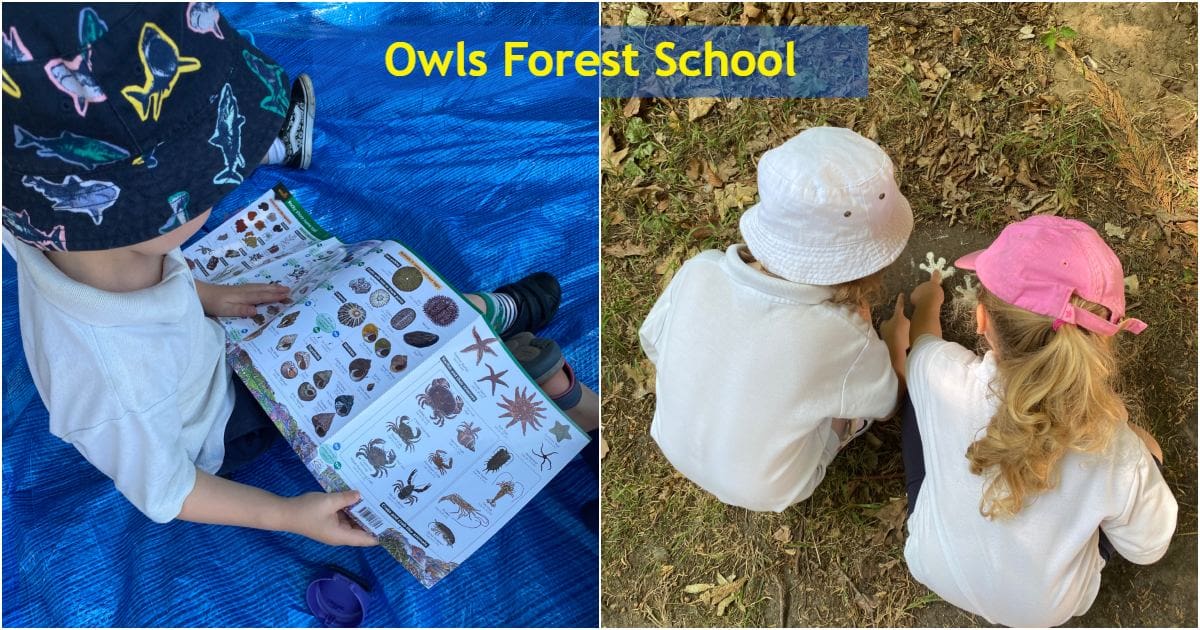 Forest School July 1st | Notre Dame School