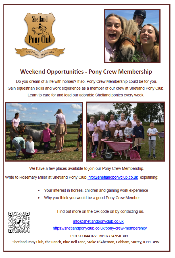 Weekend Opportunities at Shetland Pony Club 2025 | Notre Dame School