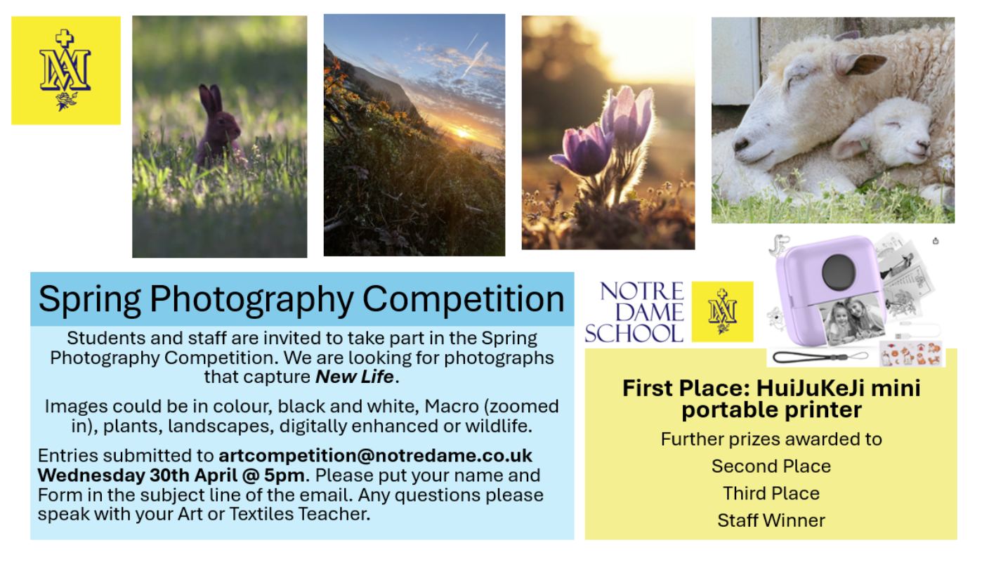 Whole School Art Board - Spring Photography Competition | Notre Dame School