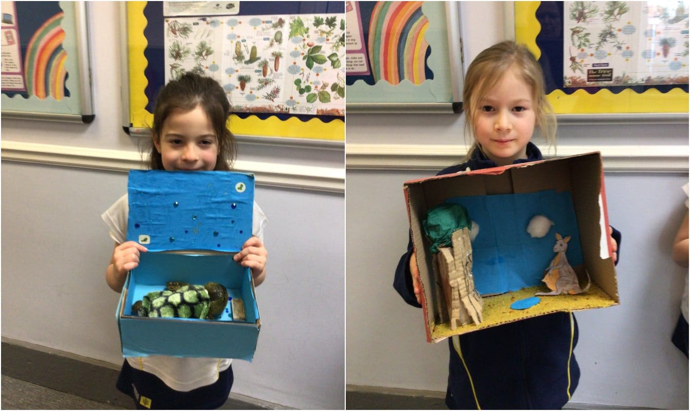 Year 2 Habitats in a Box | Notre Dame School