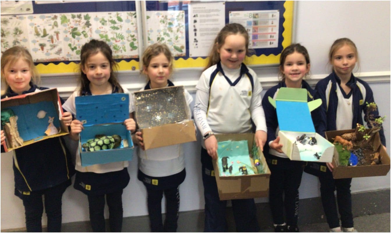 Year 2 Habitats in a Box | Notre Dame School