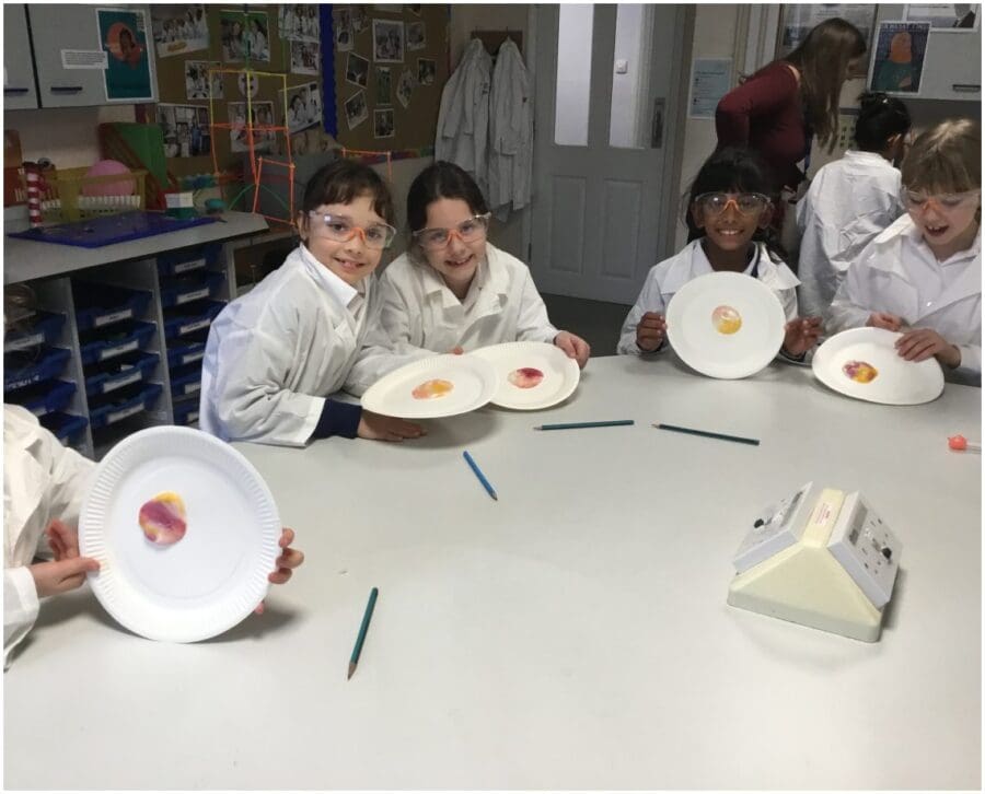 Year 3 Science - Rocks | Notre Dame School