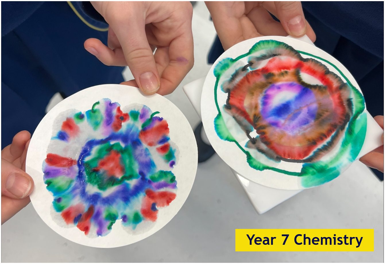 Year 7 Chemistry - Chromatography | Notre Dame School